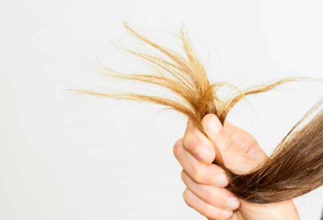 Cabello fino y quebradizo: Descubre 5 soluciones naturales 【Blog De ...