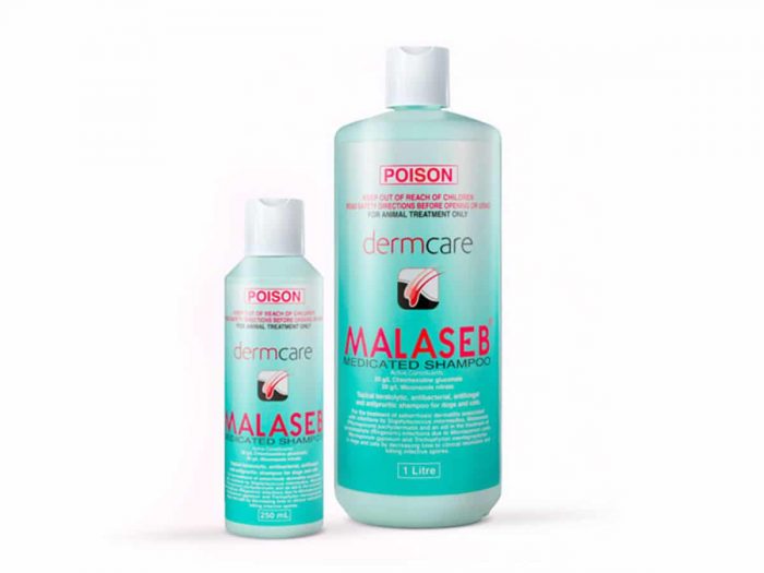 MALASEB shampoo ¿Es bueno? 5 cosas que necesitas conocer 【Blog De ...